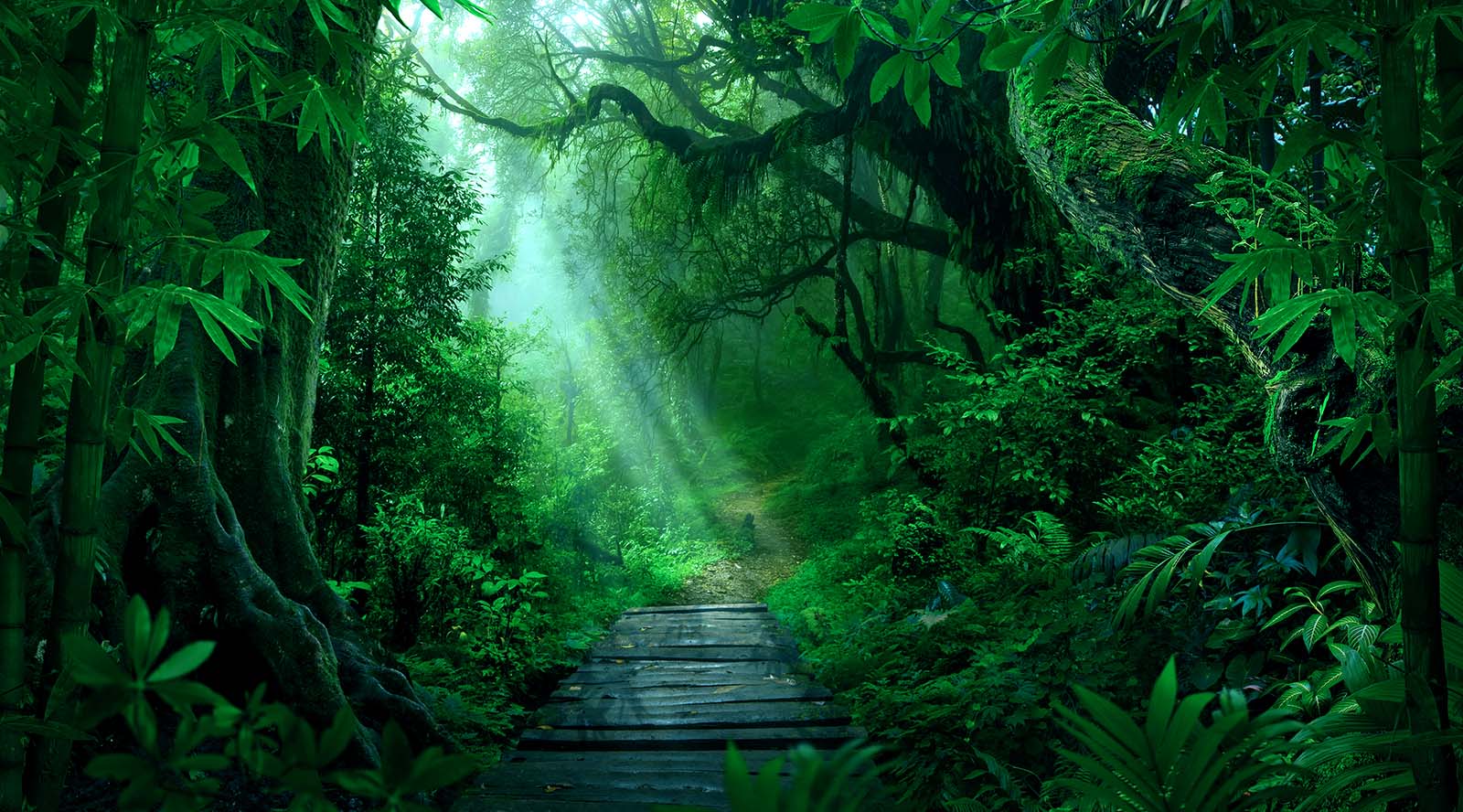 Forging a Path for Agency Growth